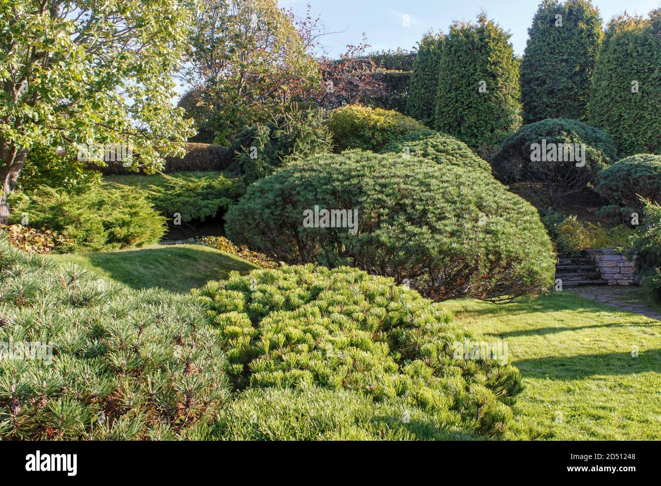 Cottage garden with green lawn, trees, hedges, trimmed bushes and large ...