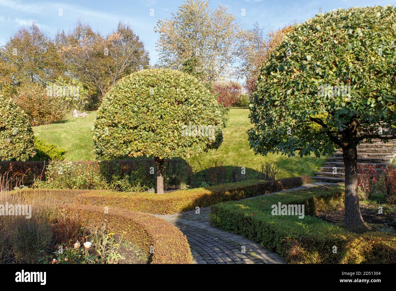 Cottage garden with green lawn, hedges, trimmed bushes and large ...