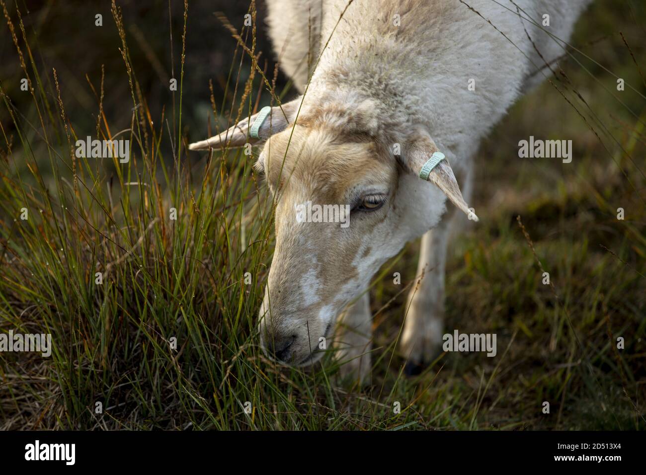 Single bore hi-res stock photography and images - Alamy