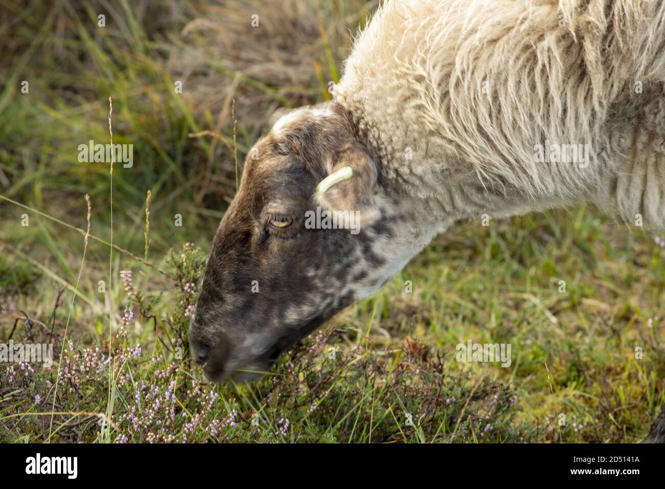 Single bore hi-res stock photography and images - Alamy