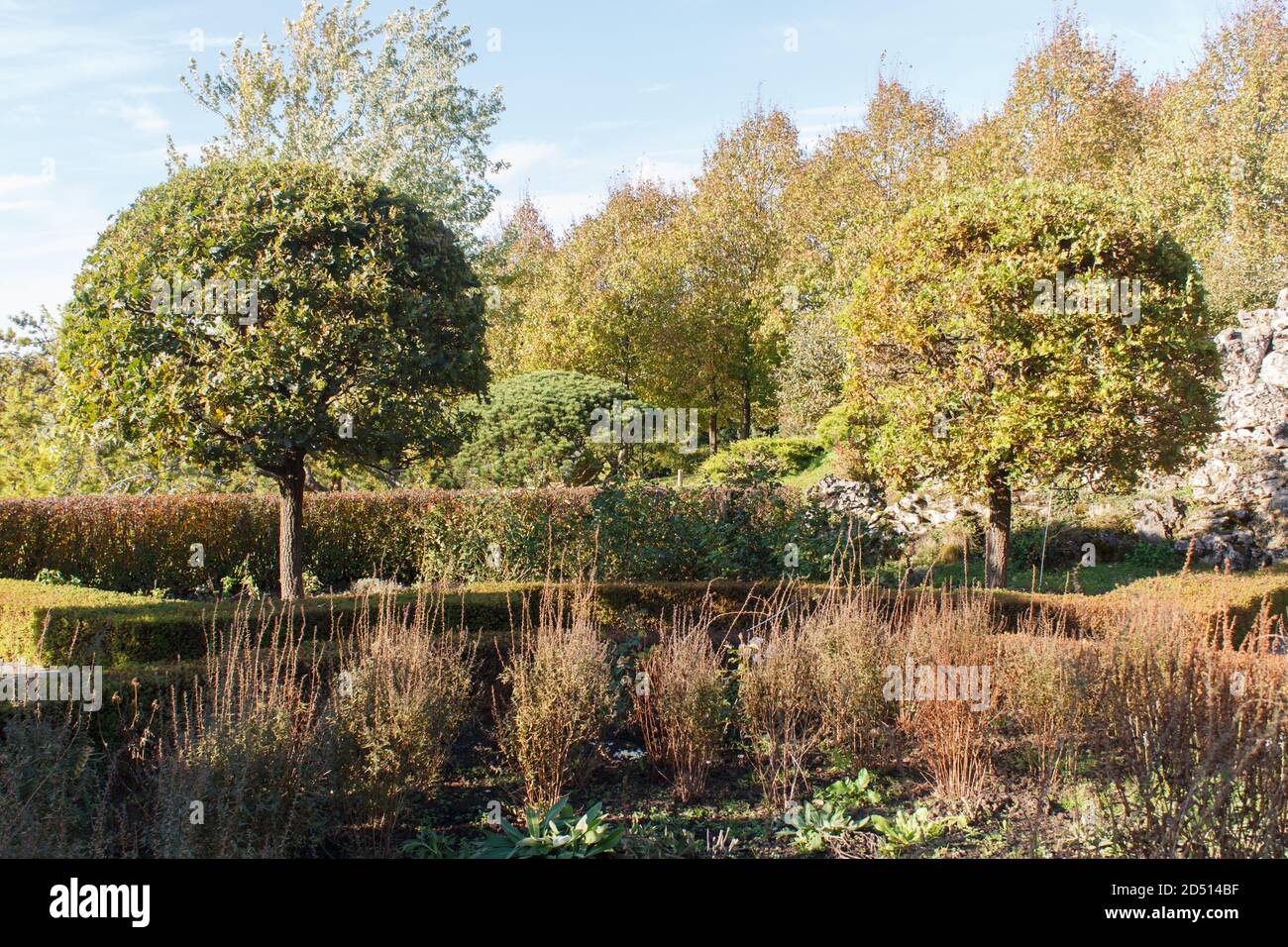 Cottage garden with green lawn, hedges, trimmed bushes and large ...
