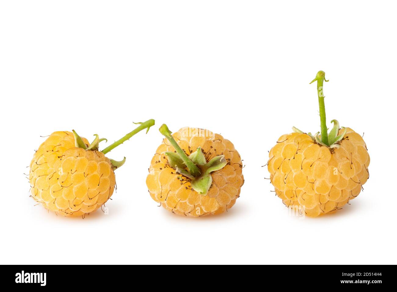 Three ripe yellow raspberry fruits with green stems isolated on white ...