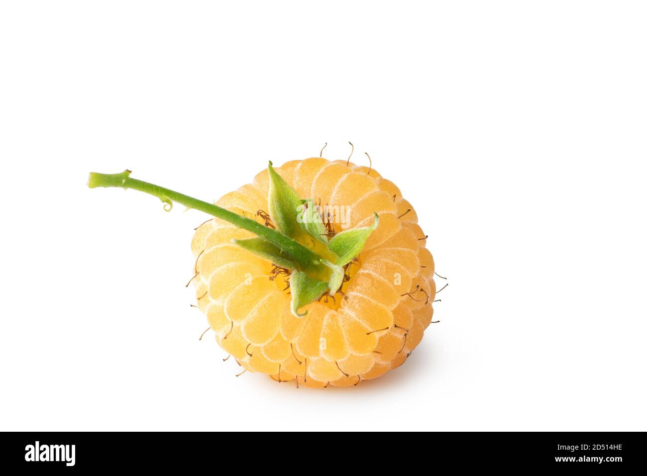 Ripe yellow raspberry fruit with green stems isolated on white ...