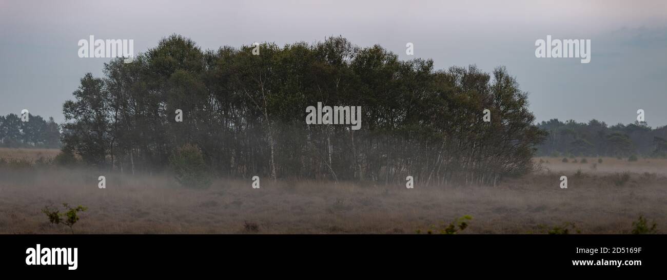 Misty sunset moorland landscape Stock Photo - Alamy