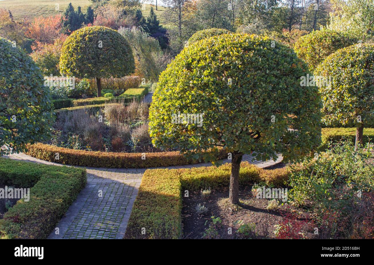 Cottage garden with green lawn, hedges, trimmed bushes and large ...