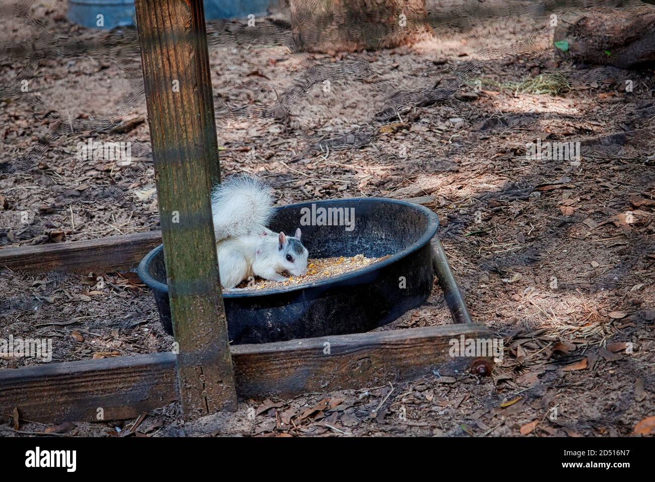 Group different farm animals hi-res stock photography and images - Alamy