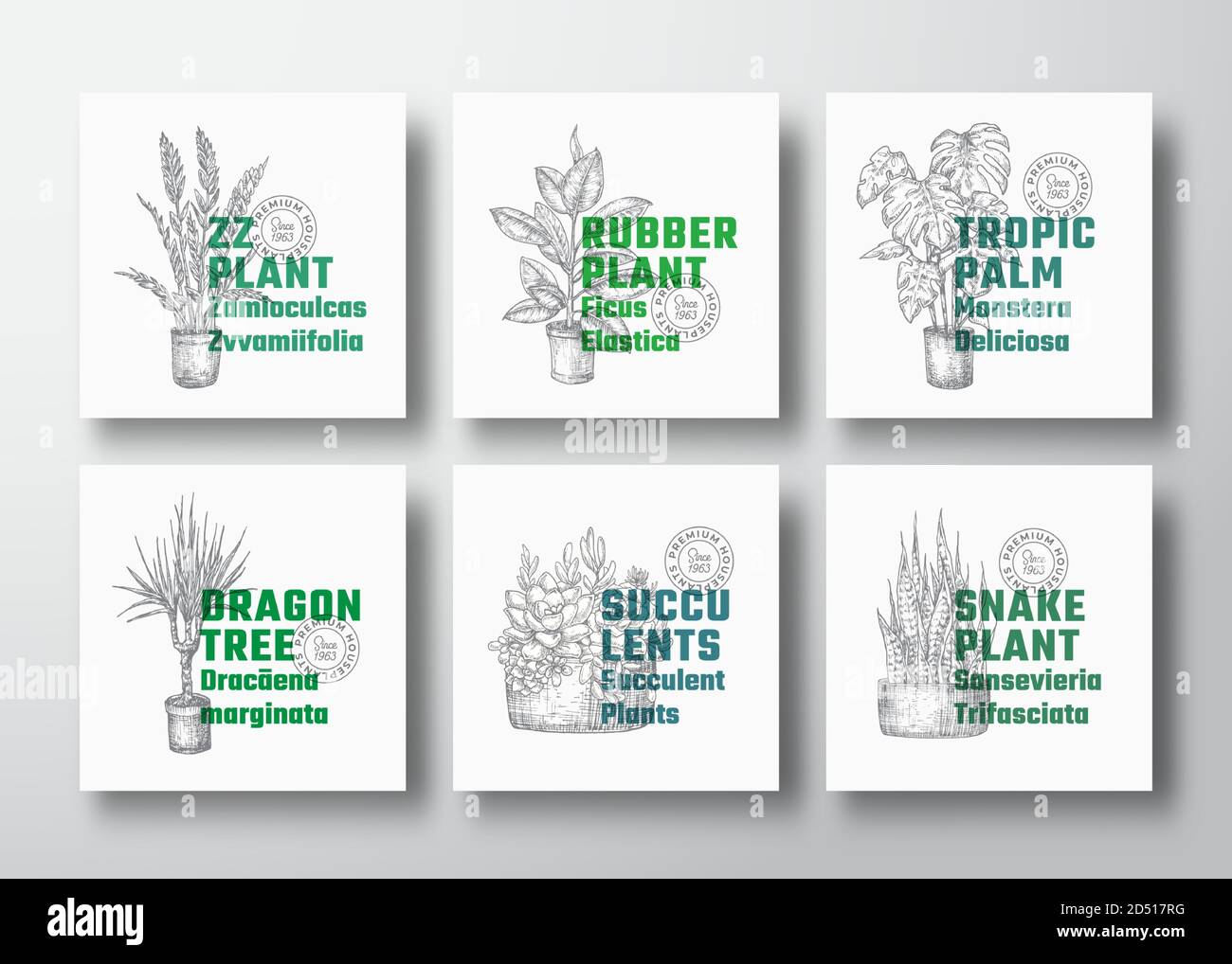 Houseplants Vector Label Templates Collection. Hand Drawn Potted ...