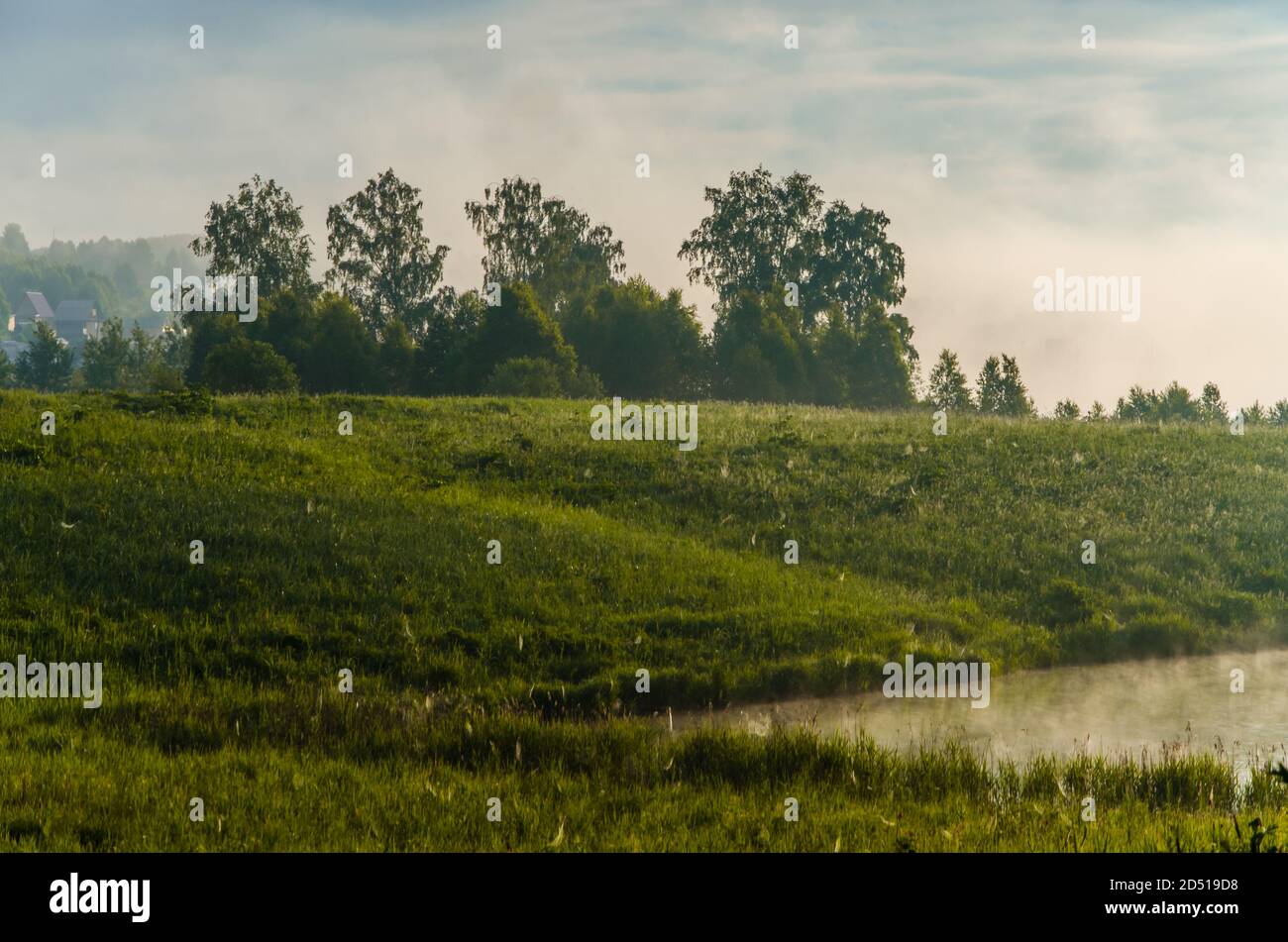 thick morning fog in the summer forest near the reservoir Stock Photo ...