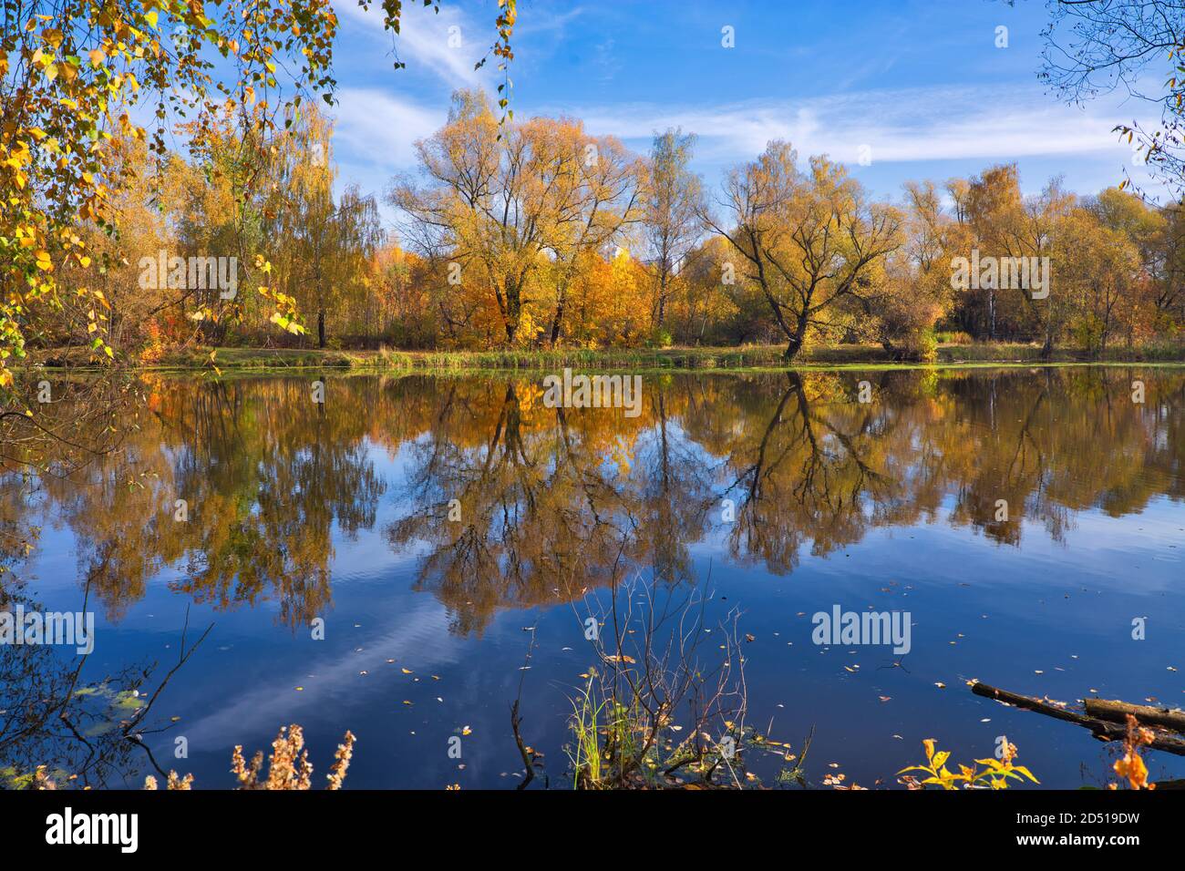 Canada Maple Autumn Landscape High Resolution Stock Photography and ...