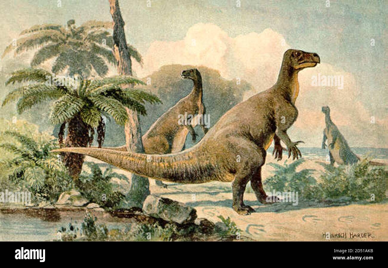 vintage dinosaur extinct animal illustration Stock Photo - Alamy