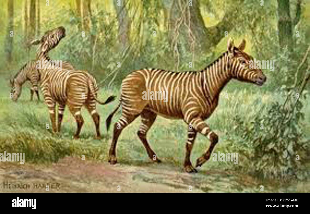 vintage dinosaur extinct animal illustration Stock Photo - Alamy