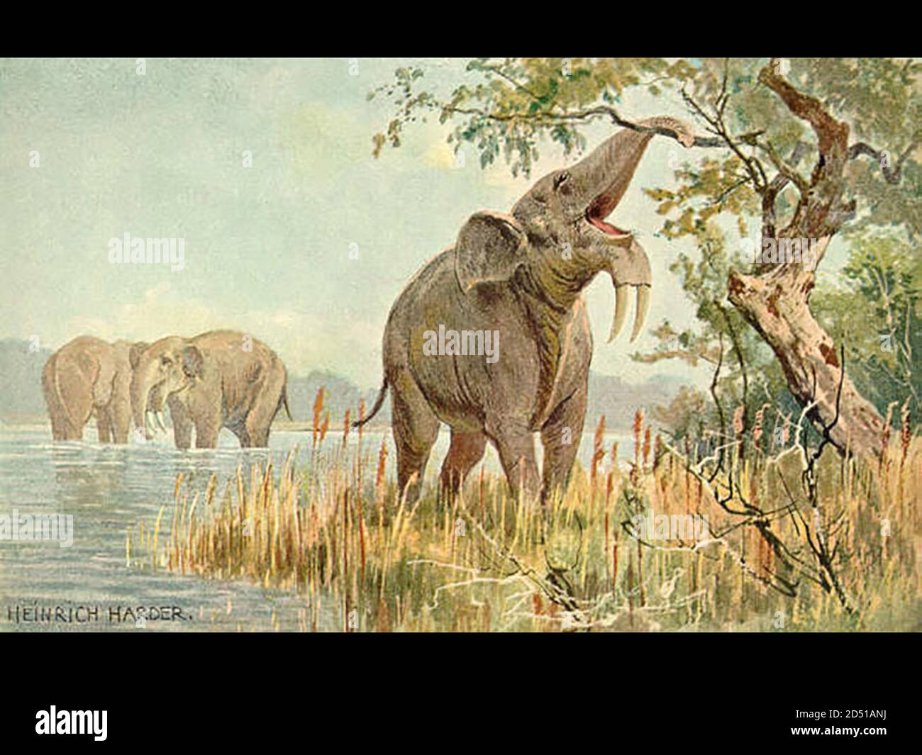 vintage dinosaur extinct animal illustration Stock Photo - Alamy
