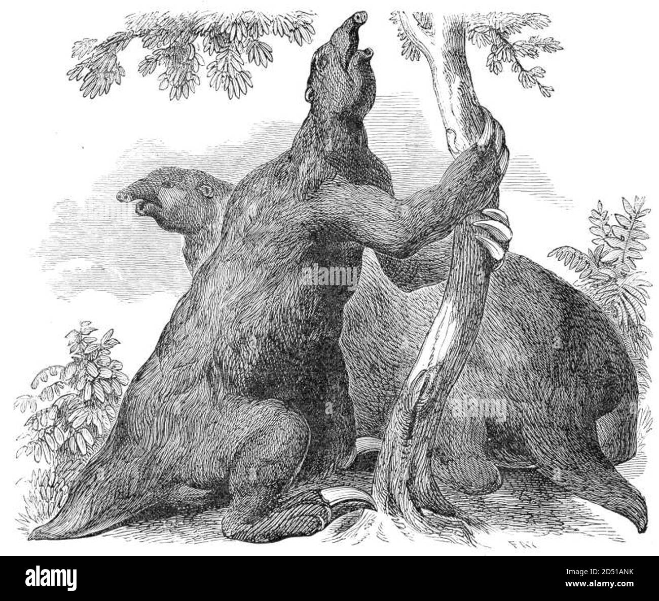 vintage dinosaur extinct animal illustration Stock Photo - Alamy