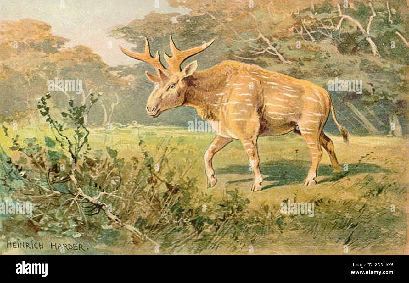 vintage dinosaur extinct animal illustration Stock Photo - Alamy