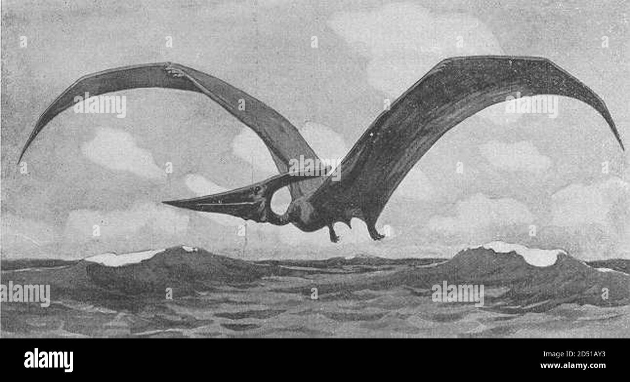 vintage dinosaur extinct animal illustration Stock Photo - Alamy