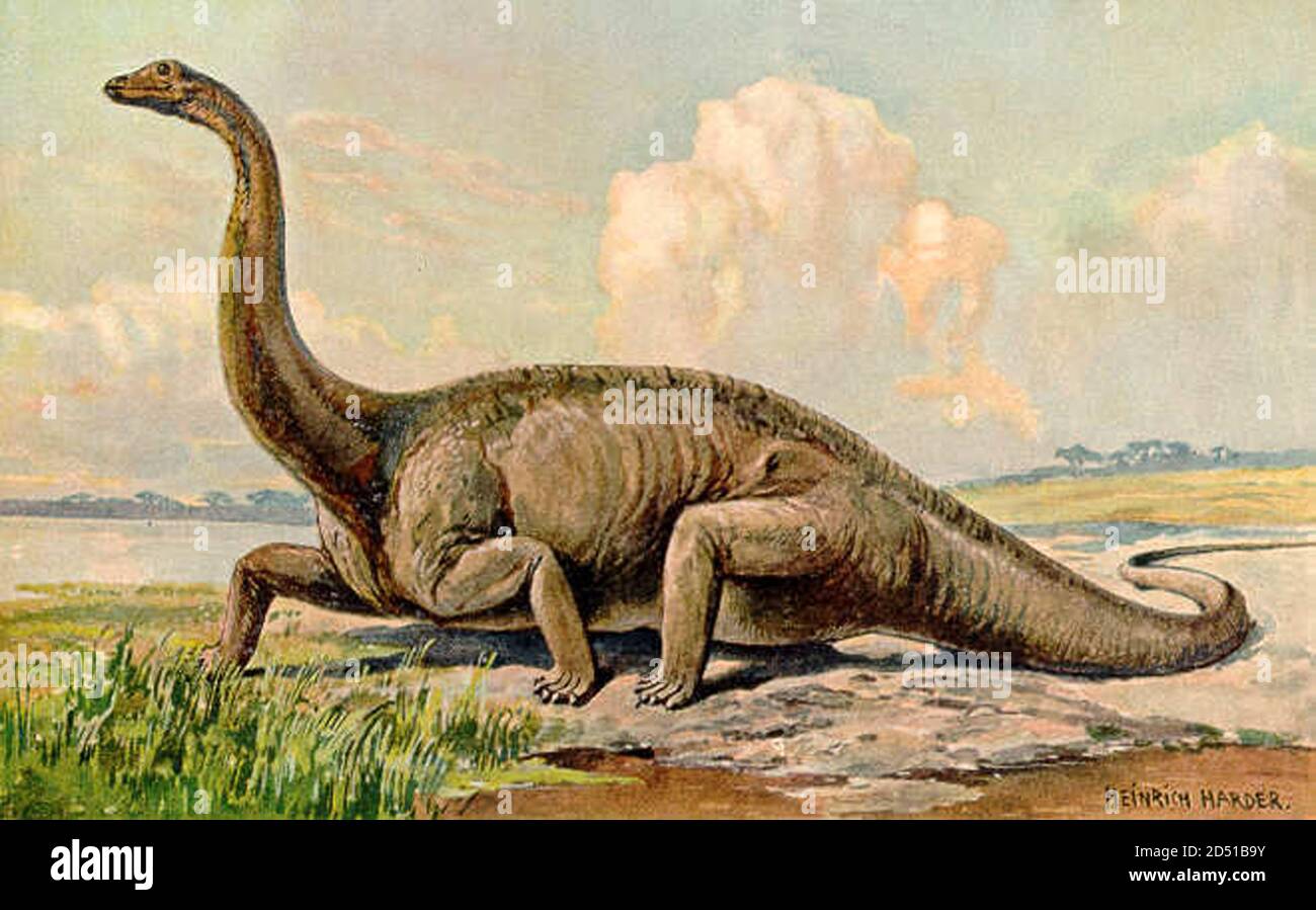 vintage dinosaur extinct animal illustration Stock Photo - Alamy