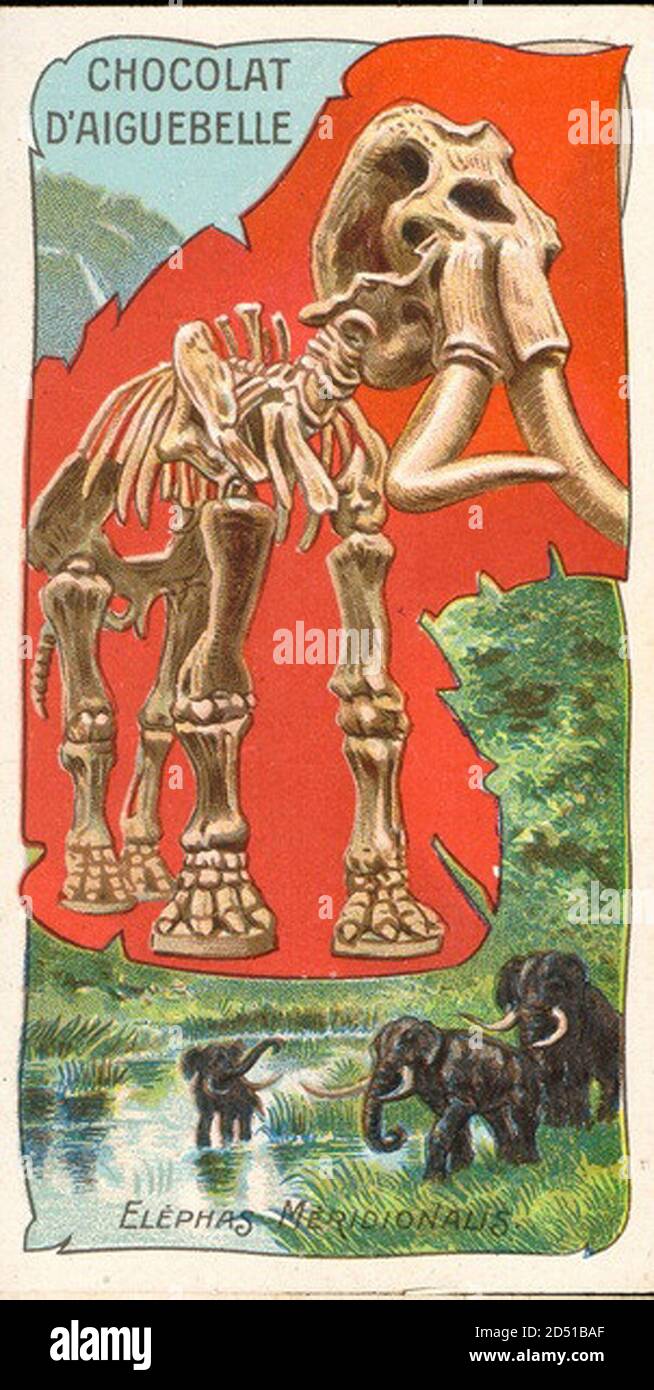 vintage dinosaur extinct animal illustration Stock Photo - Alamy