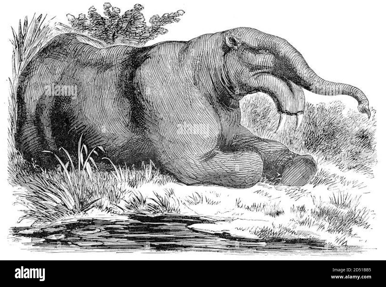 Dinosaur extinction asteroid Cut Out Stock Images & Pictures - Alamy