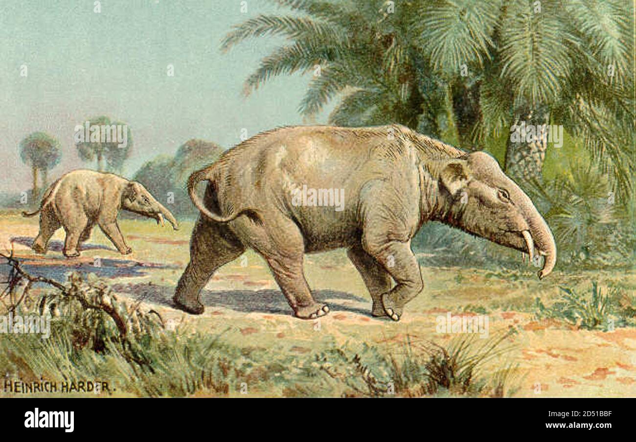 vintage dinosaur extinct animal illustration Stock Photo - Alamy