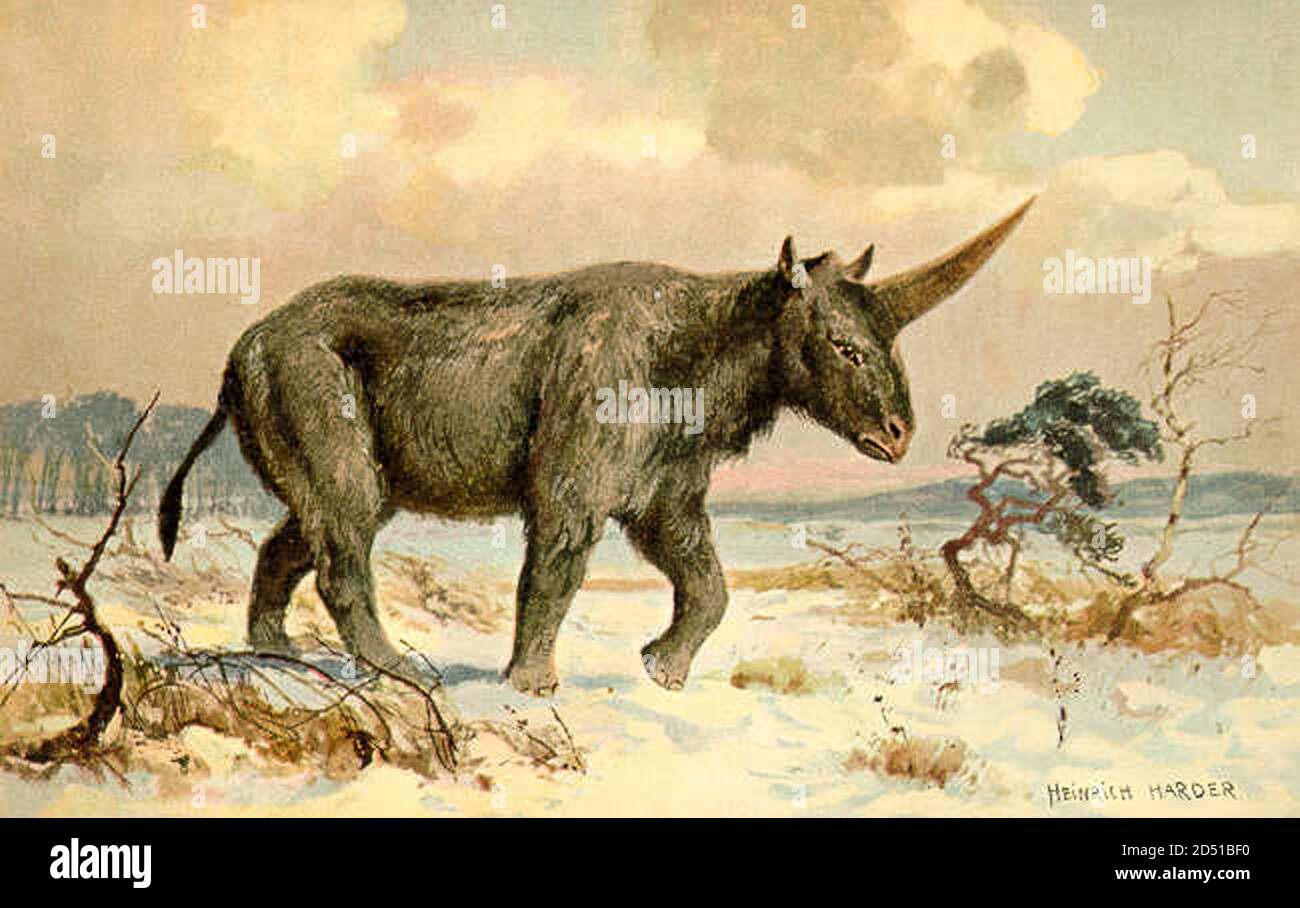 vintage dinosaur extinct animal illustration Stock Photo - Alamy
