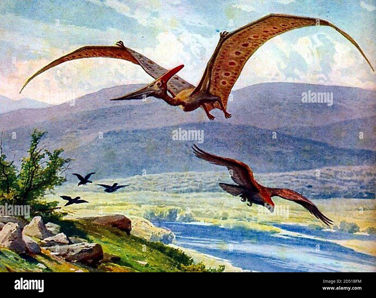 vintage dinosaur extinct animal illustration Stock Photo - Alamy
