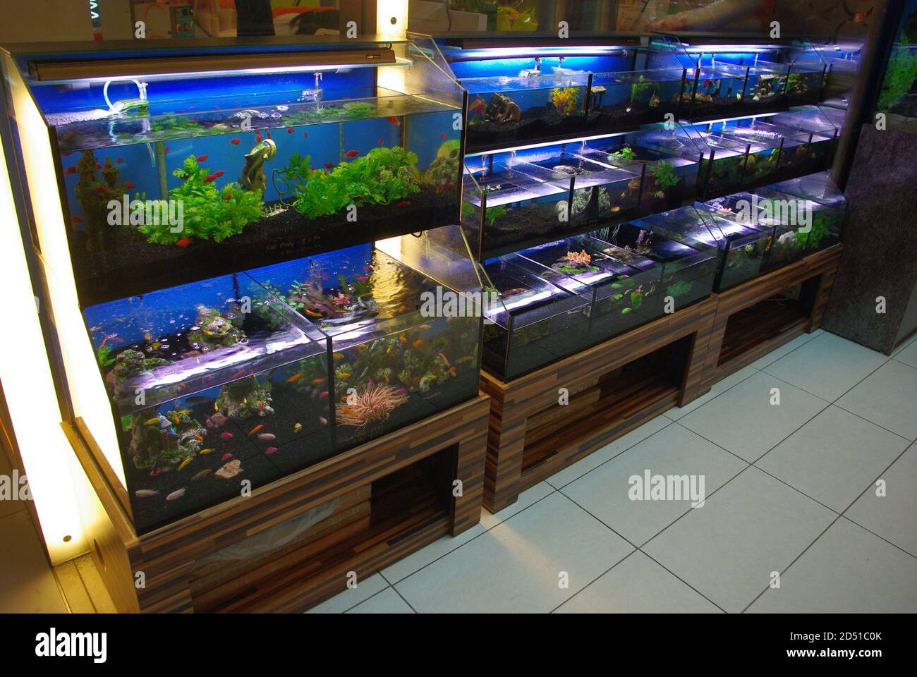 Aquarium farming hi-res stock photography and images - Alamy
