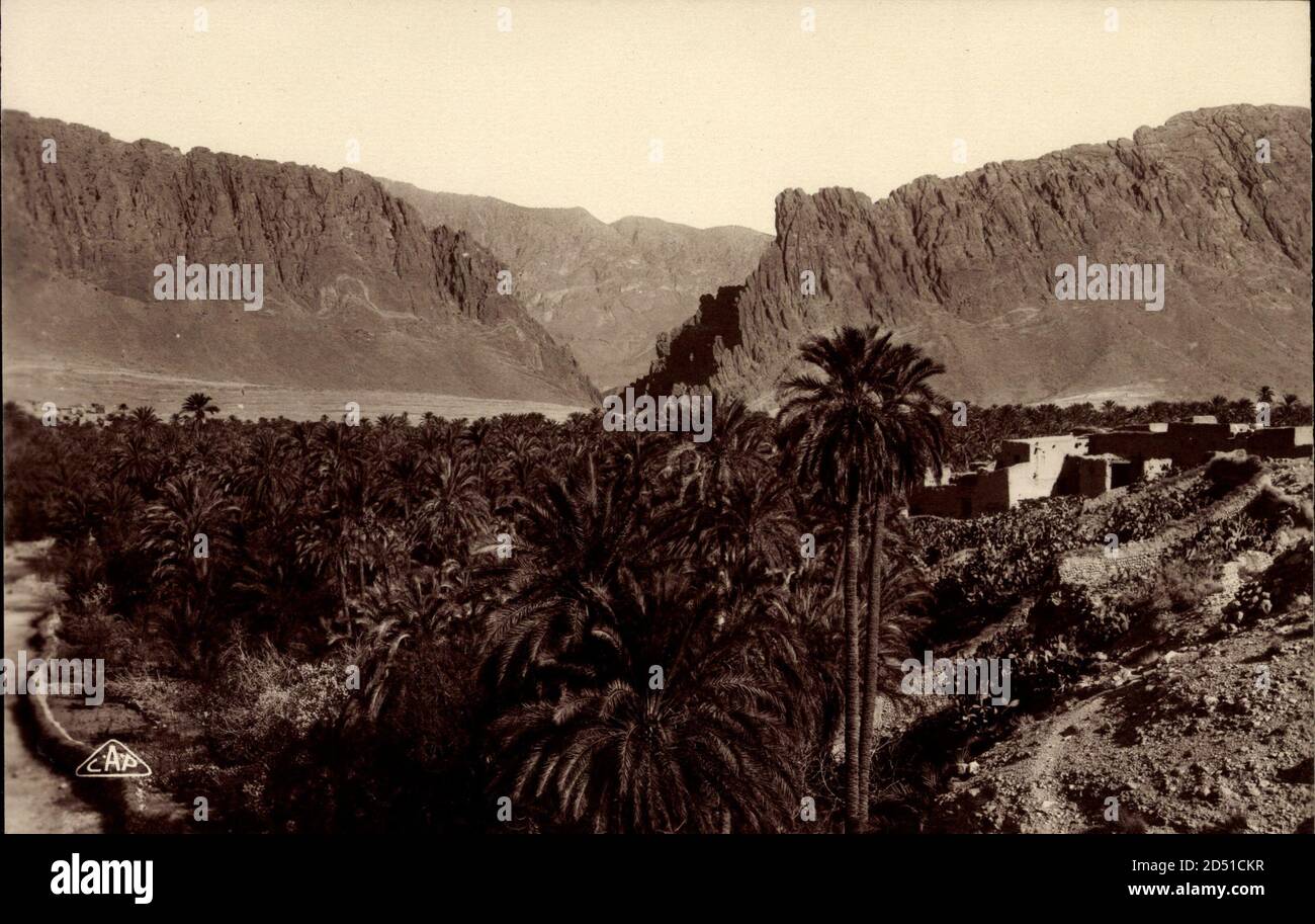 El Kantara en Algerie, Un coin de Palmeraie | usage worldwide Stock Photo - Alamy