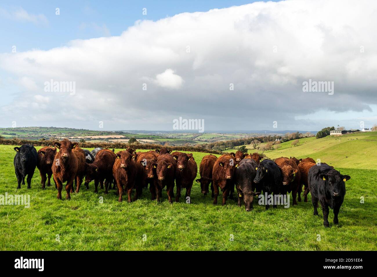 Innishannon hi-res stock photography and images - Alamy