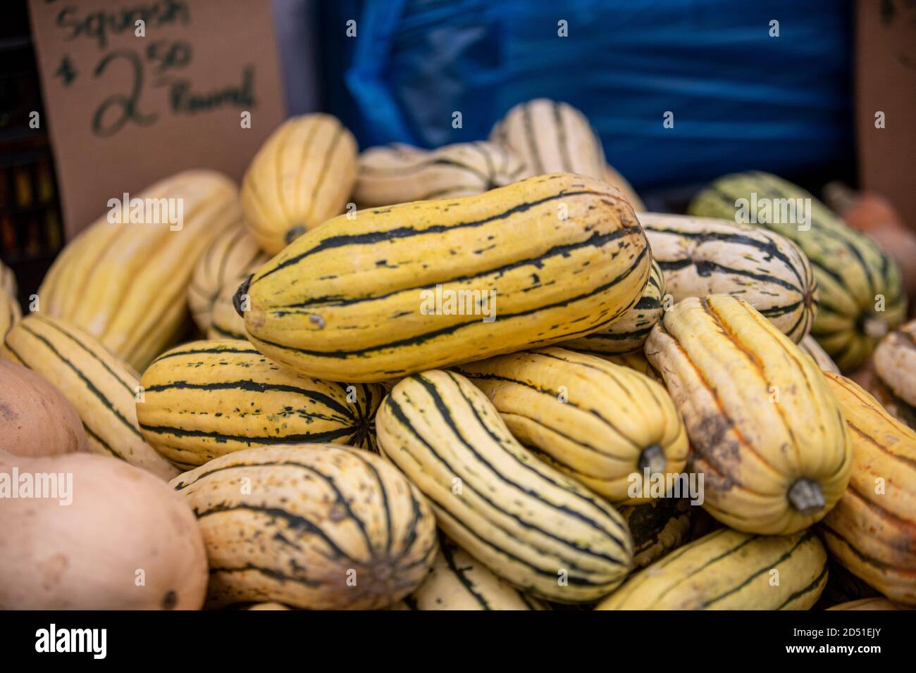 Delicata Squash on display at a farmers market Stock Photo - Alamy