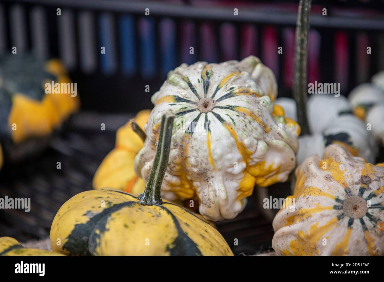 Squash on display at a farmers market Stock Photo - Alamy