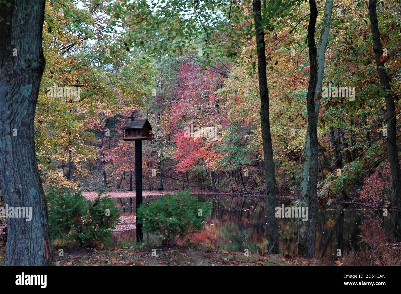 12 October 2020 Stock Photo - Alamy