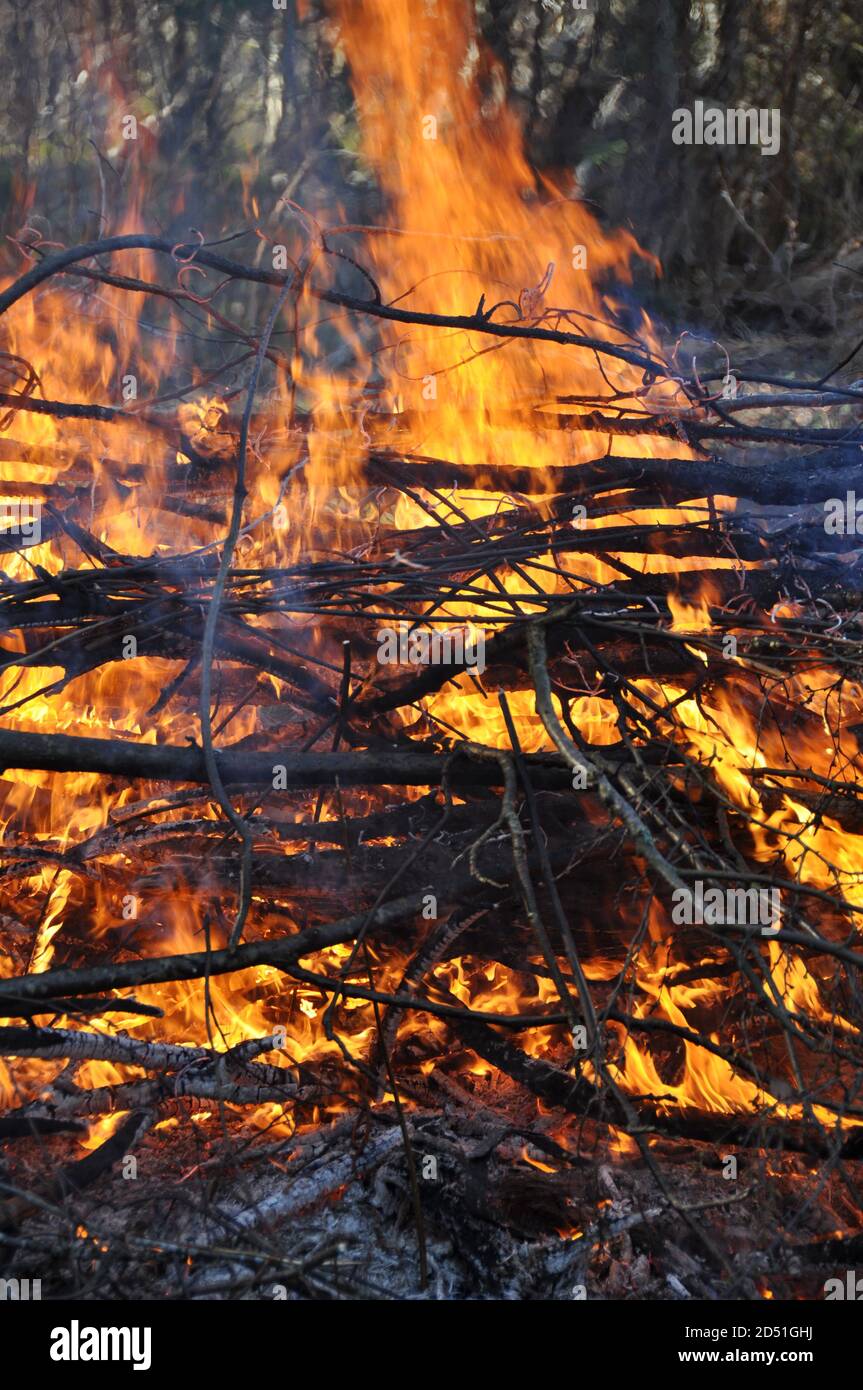 Large burn hi-res stock photography and images - Alamy