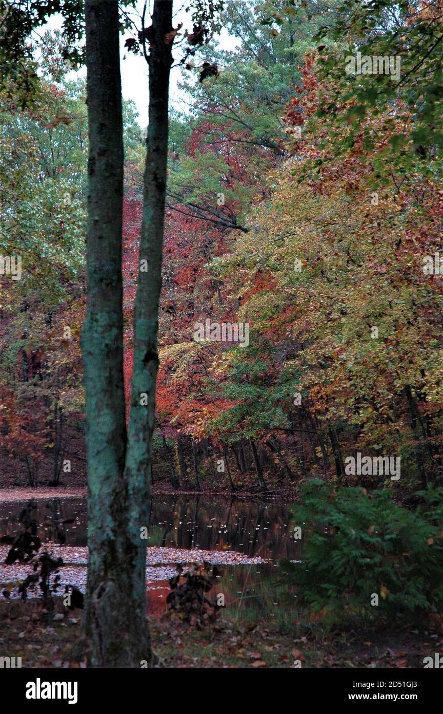 12 October 2020 Stock Photo - Alamy