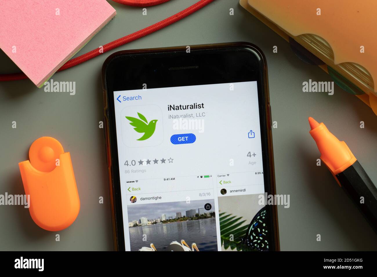 Inaturalist app hi-res stock photography and images - Alamy