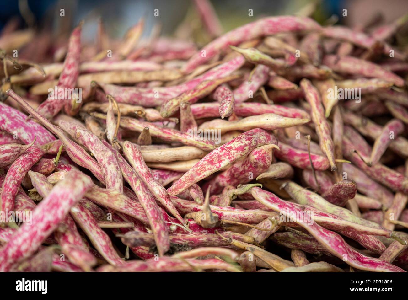 Kidney beans on display at a farmers market Stock Photo - Alamy