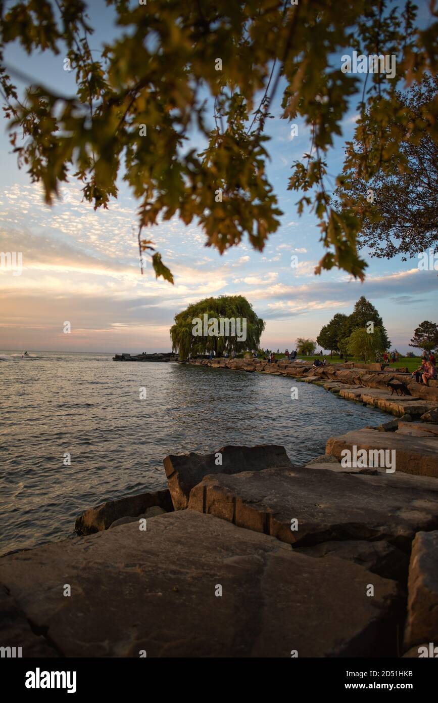 Edgewater Park Willow Tree Ohio Cleveland Stock Photo - Alamy