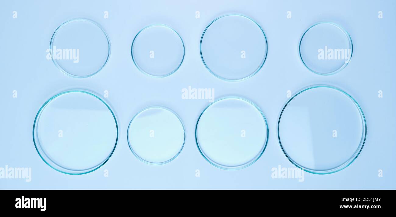 What Size Petri Dish For Mycology at Jackie Proctor blog