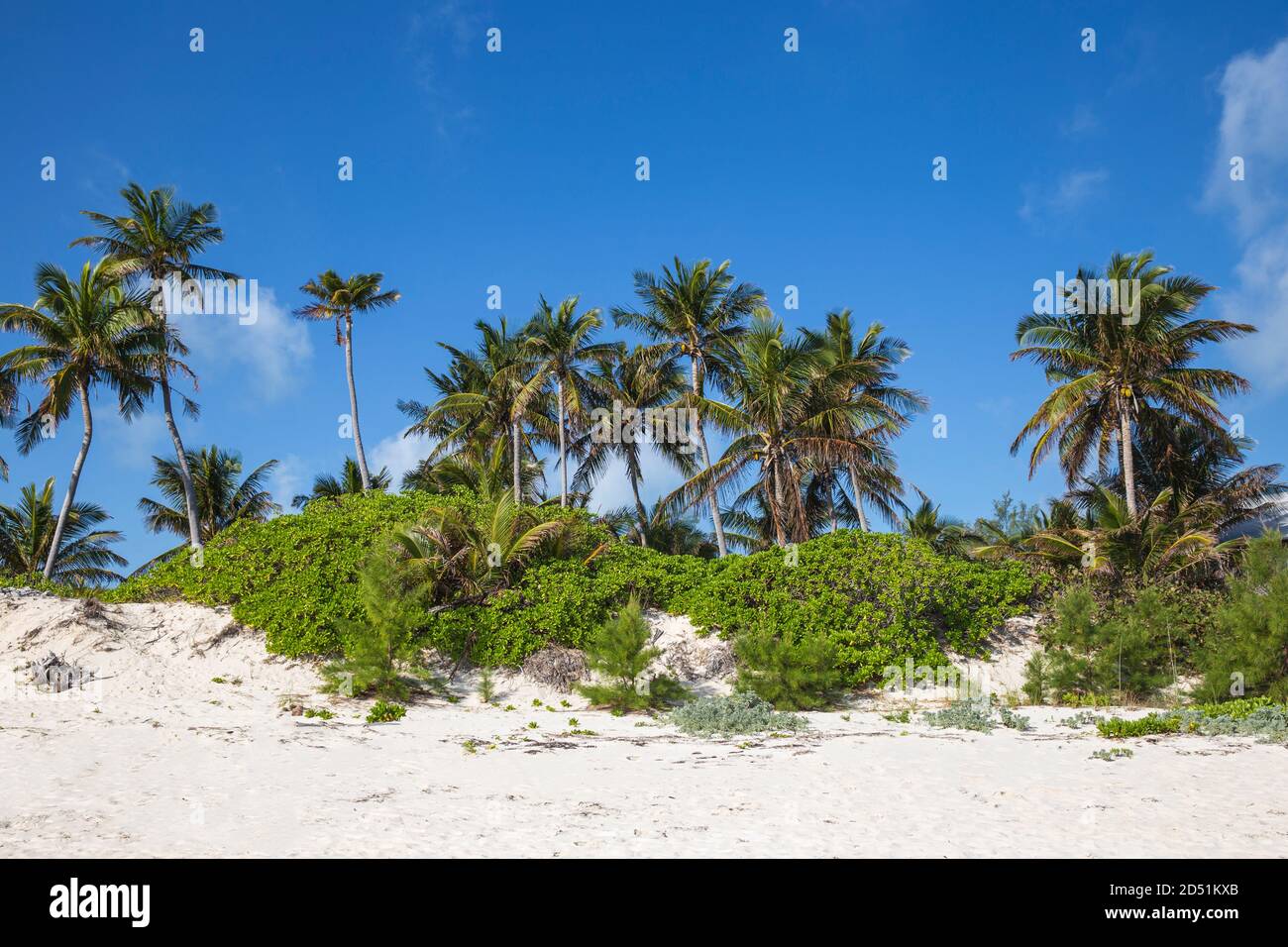 Bahamas, Abaco Islands, Man O War Cay Stock Photo - Alamy