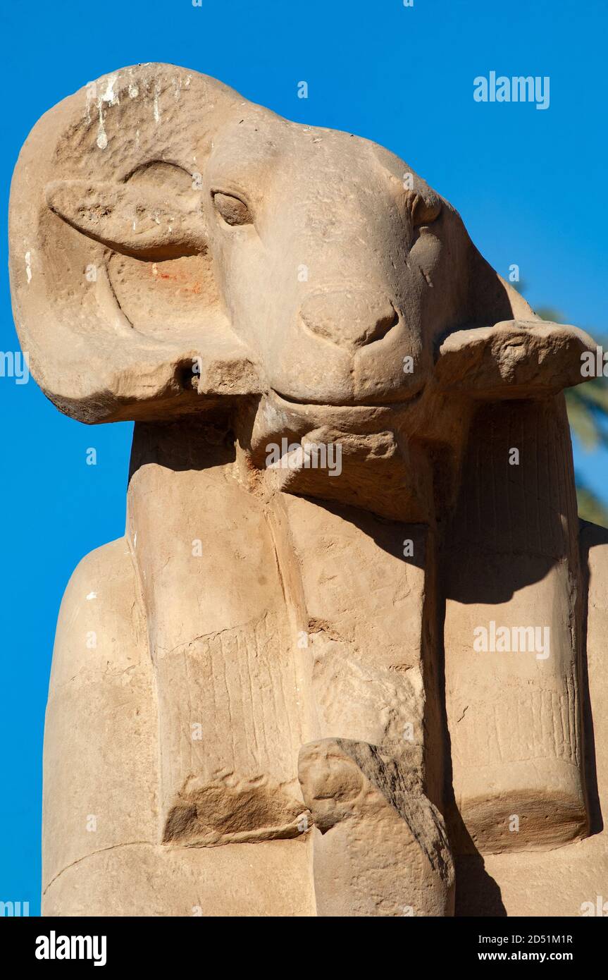 A Ram-headed Sphinx, on the avenue of Sphinxes from Luxor Temple to ...