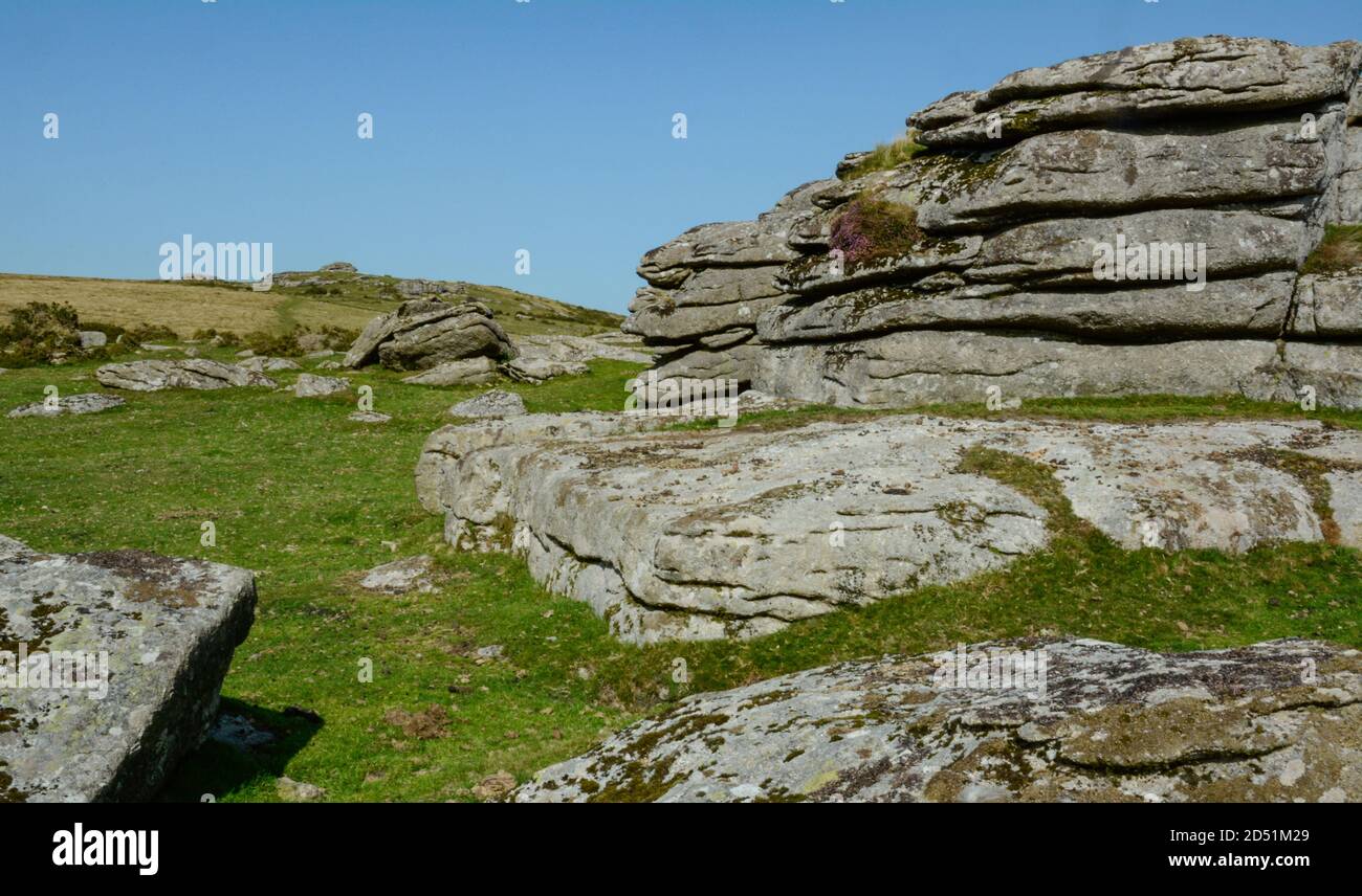 Frenchbeer Rock at Chagford Common on Dartmoor, Devon Stock Photo - Alamy