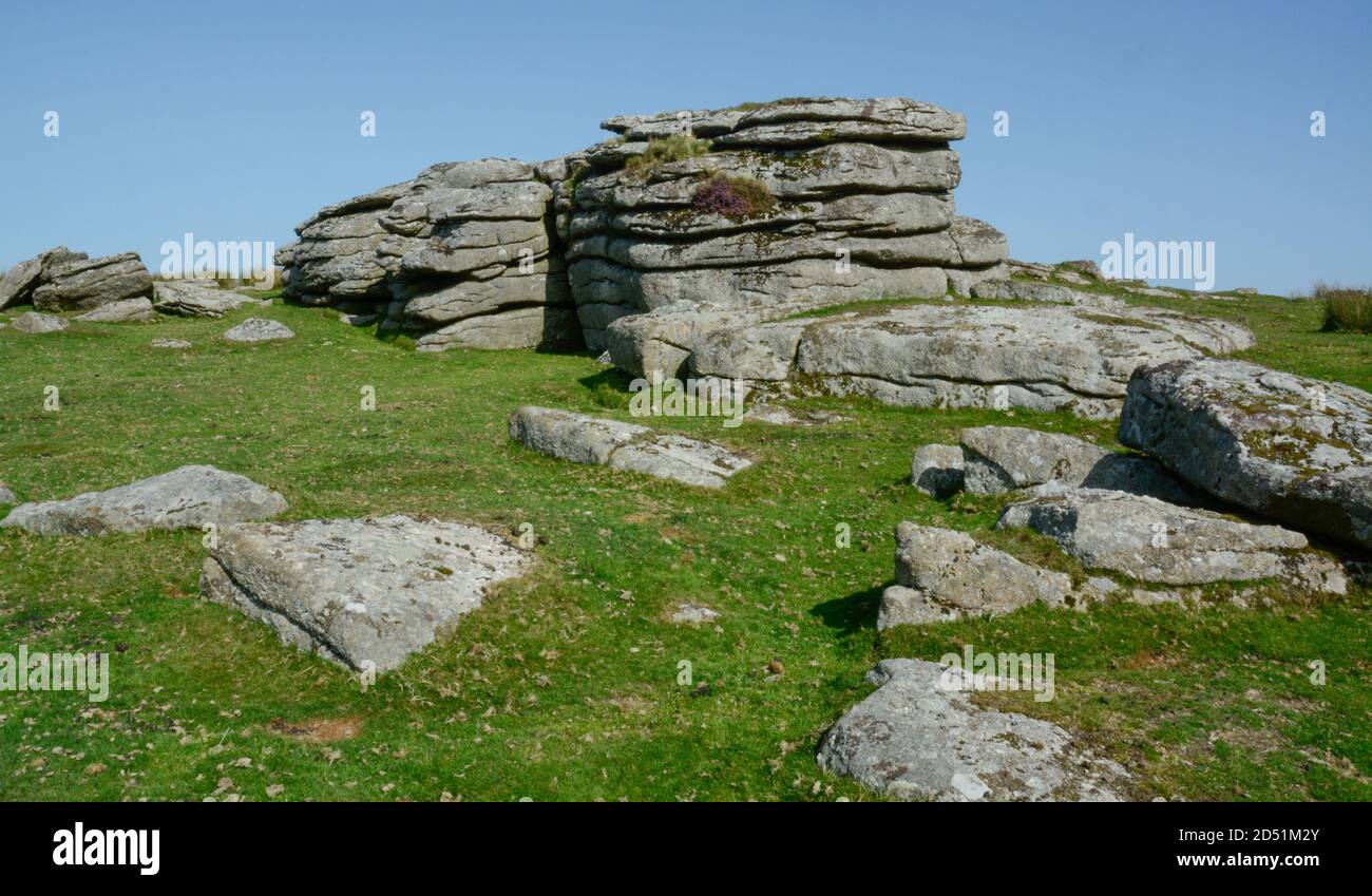 Frenchbeer Rock at Chagford Common on Dartmoor, Devon Stock Photo - Alamy