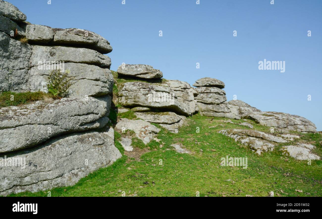 Frenchbeer Rock at Chagford Common on Dartmoor, Devon Stock Photo - Alamy