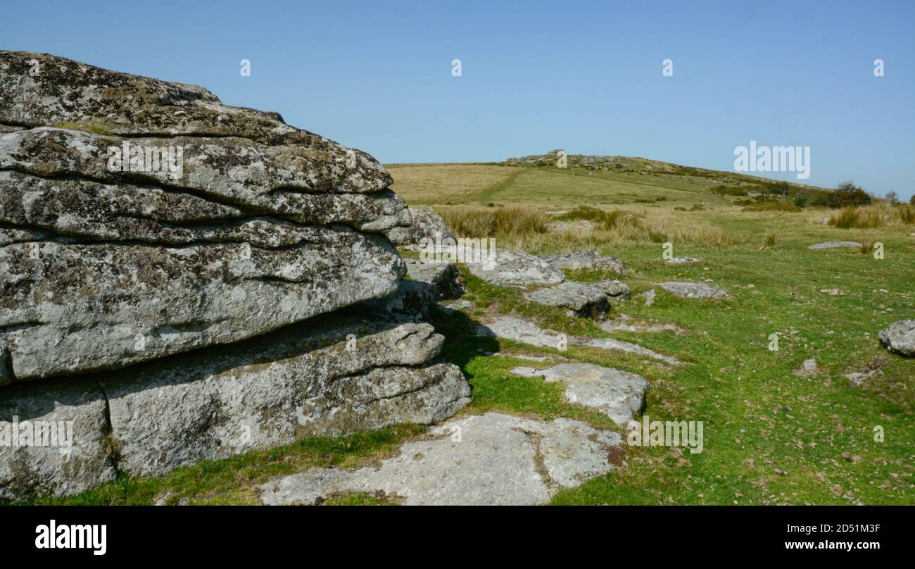 Frenchbeer Rock at Chagford Common on Dartmoor, Devon Stock Photo - Alamy