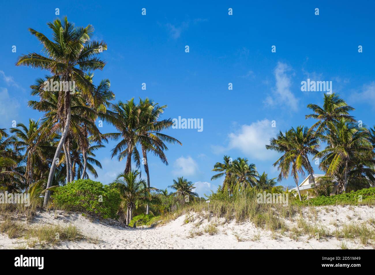 Bahamas, Abaco Islands, Man O War Cay Stock Photo - Alamy