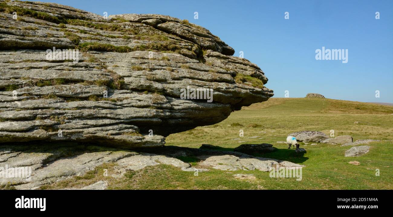 Middle Tor, Chagford Common on Dartmoor, Devon Stock Photo - Alamy