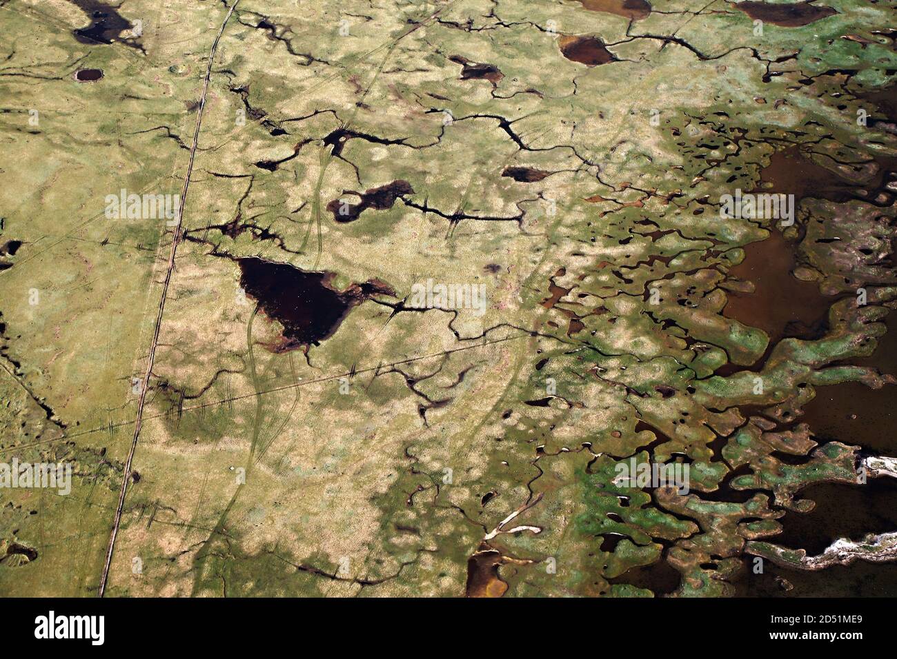 Swamp natural area reed hi-res stock photography and images - Alamy