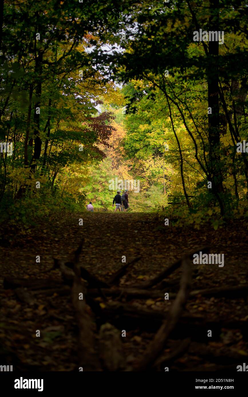 Fall trees in the cuyahoga valley national park cvnp ohio Stock Photo ...