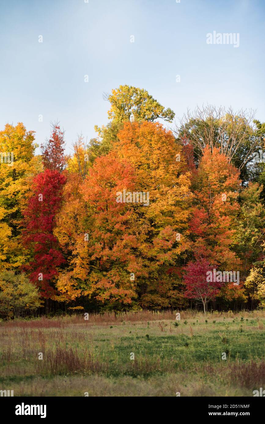 Fall trees in the cuyahoga valley national park cvnp ohio Stock Photo ...