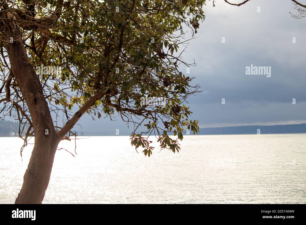 Madrona beach hi-res stock photography and images - Alamy