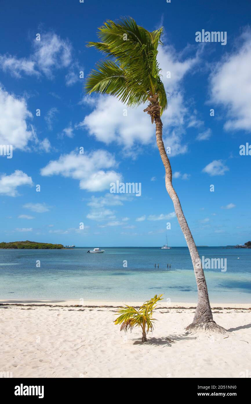 Bahamas, Abaco Islands, Great Guana Cay, Sunset beach Stock Photo - Alamy